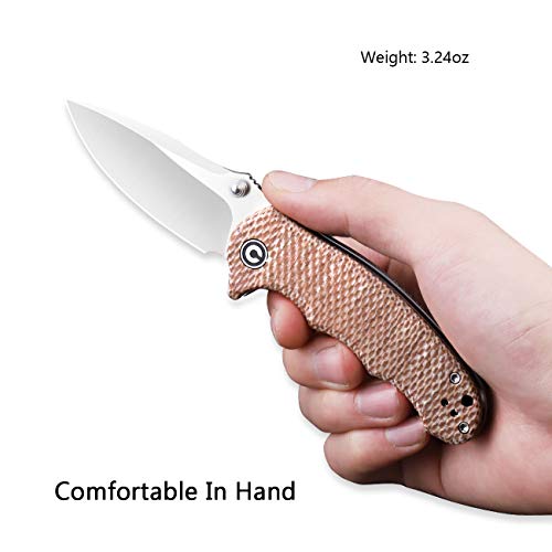 CIVIVI Hooligan Small Pocket Knife - Folding Knife with 2.98” D2 Blade Micarta Handles,Hunting Outdoor Knife with Reversible Clip for men C913C (Snakeskin)