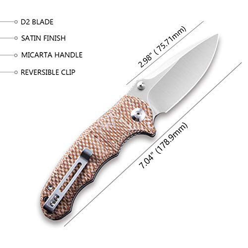 CIVIVI Hooligan Small Pocket Knife - Folding Knife with 2.98” D2 Blade Micarta Handles,Hunting Outdoor Knife with Reversible Clip for men C913C (Snakeskin)