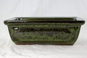 calibonsai rectangular bonsai/cactus & succulent pot 8"x 5.75"x 2.5" w/mesh - moss green stain