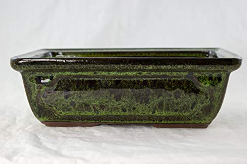 Calibonsai Rectangular Bonsai/Cactus & Succulent Pot 8"x 5.75"x 2.5" w/Mesh - Moss Green Stain