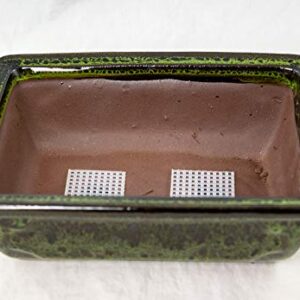 Calibonsai Rectangular Bonsai/Cactus & Succulent Pot 8"x 5.75"x 2.5" w/Mesh - Moss Green Stain