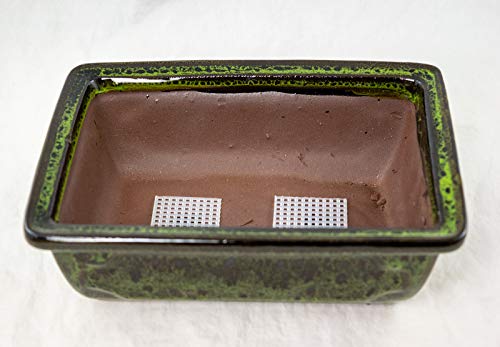 Calibonsai Rectangular Bonsai/Cactus & Succulent Pot 8"x 5.75"x 2.5" w/Mesh - Moss Green Stain