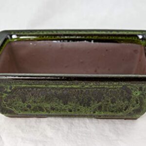 Calibonsai Rectangular Bonsai/Cactus & Succulent Pot 8"x 5.75"x 2.5" w/Mesh - Moss Green Stain