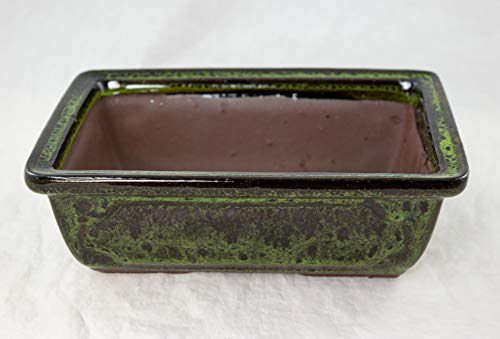 Calibonsai Rectangular Bonsai/Cactus & Succulent Pot 8"x 5.75"x 2.5" w/Mesh - Moss Green Stain