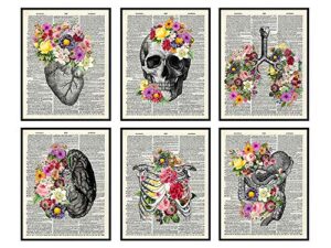 medical dictionary art set - 8x10 vintage anatomical posters - floral wall decor for doctors office, clinic, med student dorm - shabby chic gift for nurses, physicians assistant, pa - unframed photos