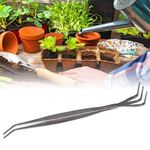 KSTEE Bonsai Rake Tools, 2 in 1 Stainless Steel Bonsai & Gardening Tool Root Rake + Tweezers