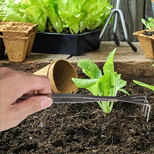 KSTEE Bonsai Rake Tools, 2 in 1 Stainless Steel Bonsai & Gardening Tool Root Rake + Tweezers