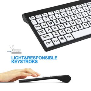 Full Size Large Print 2.4g Wireless Keyboard and Mouse with Oversized Print for Kids Visually Impaired Low Vision Individuals (Black)