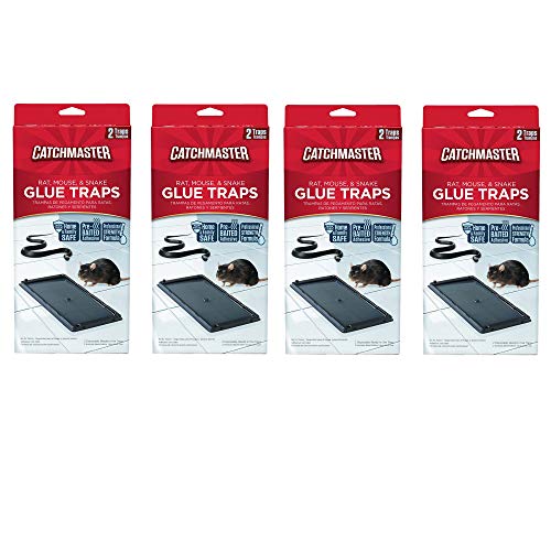 Catchmaster 402 Baited Rat, Mouse and Snake Glue Traps Professional St, 4 Pack