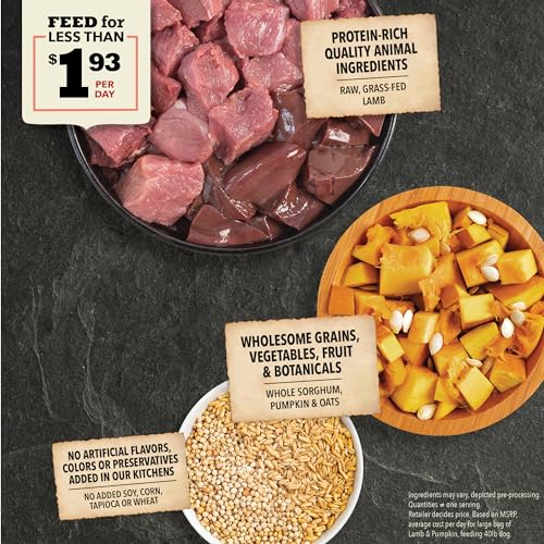 ACANA Wholesome Grains Dry Dog Food, Lamb & Pumpkin Recipe, 22.5lb