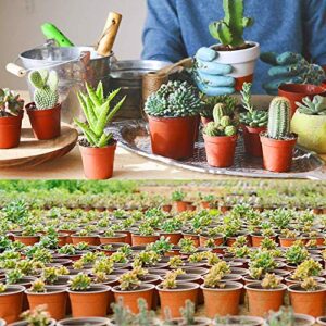 Augshy Nursery Pot, 75 Pcs 4" Plastic Nursery Seed Starting Pots Flower Plant Container for Succulent Seedling Cutting Transplanting