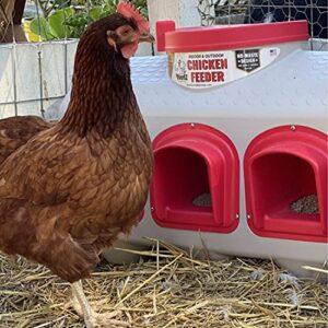 OverEZ Chicken Feeder - Holds 50 Pounds of Feed - Inside or Outside Hen Coop - Large Gravity Fed Automatic Poultry Dispenser - No Waste Rainproof Design