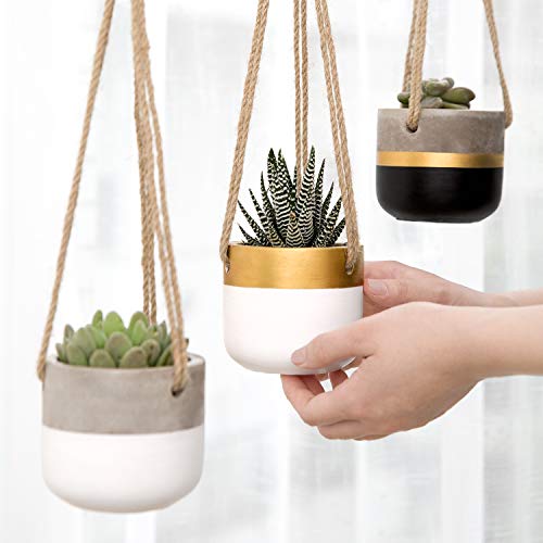 Dahey 3 Pack Small Cement Hanging Planter Succulent Pots with Jute Rope Hanger Modern Mini Concrete Flower Pots Indoor for Cactus Herb or Small Plants Home Decor, 3 Inch