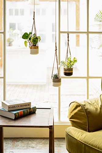 Dahey 3 Pack Small Cement Hanging Planter Succulent Pots with Jute Rope Hanger Modern Mini Concrete Flower Pots Indoor for Cactus Herb or Small Plants Home Decor, 3 Inch