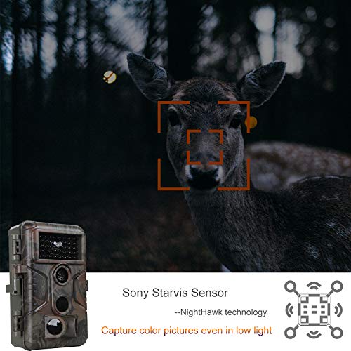 2-Pack No Glow Game & Deer Trail Cameras 24MP 1080P H.264 Video 100ft Night Vision Motion Activated 0.1S Trigger Speed Waterproof Farm & Yard Cameras for Home Surveillance & Outdoor Wildlife Hunting