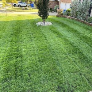 Outsidepride SPF-30 Heat & Drought Tolerant Hybrid Bluegrass Lawn Grass Seed - 10 LBS