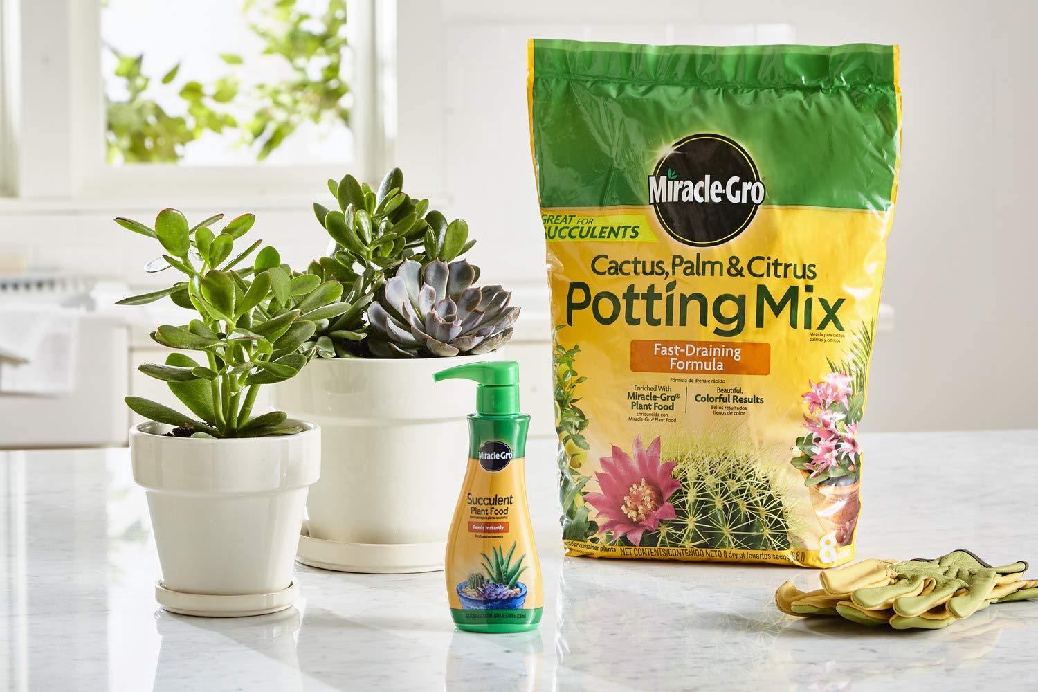 Miracle-Gro Cactus, Palm & Citrus Potting Mix and Plant Food - Bundle of Soil (8 qt.) and Liquid Plant Food (8 oz.) for Growing and Fertilizing Indoor Succulents