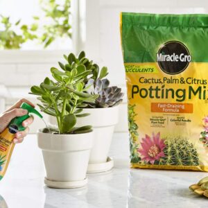 Miracle-Gro Cactus, Palm & Citrus Potting Mix and Plant Food - Bundle of Soil (8 qt.) and Liquid Plant Food (8 oz.) for Growing and Fertilizing Indoor Succulents