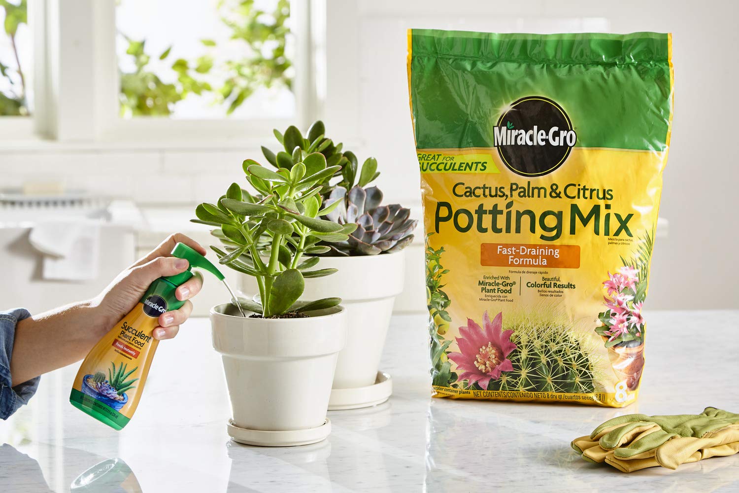 Miracle-Gro Cactus, Palm & Citrus Potting Mix and Plant Food - Bundle of Soil (8 qt.) and Liquid Plant Food (8 oz.) for Growing and Fertilizing Indoor Succulents