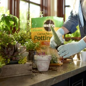 Miracle-Gro Cactus, Palm & Citrus Potting Mix and Plant Food - Bundle of Soil (8 qt.) and Liquid Plant Food (8 oz.) for Growing and Fertilizing Indoor Succulents