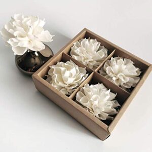 4 Dahlia Sola Flower Diffuser Cotton Wick for Home Fragrance Aroma Oil by Plawanature