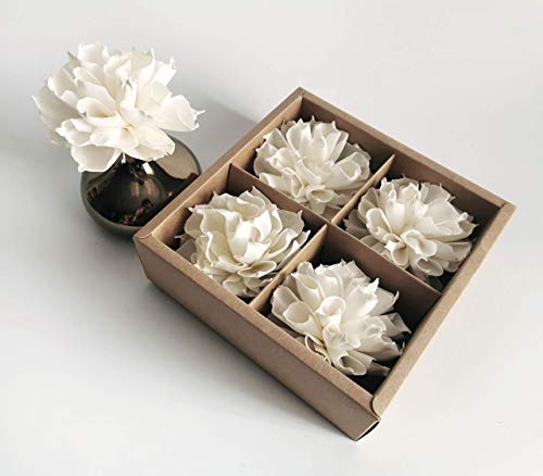 4 Dahlia Sola Flower Diffuser Cotton Wick for Home Fragrance Aroma Oil by Plawanature