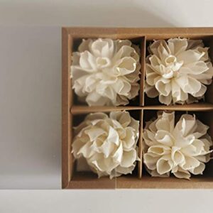 4 Dahlia Sola Flower Diffuser Cotton Wick for Home Fragrance Aroma Oil by Plawanature