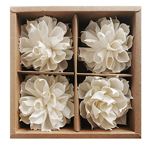 4 Dahlia Sola Flower Diffuser Cotton Wick for Home Fragrance Aroma Oil by Plawanature