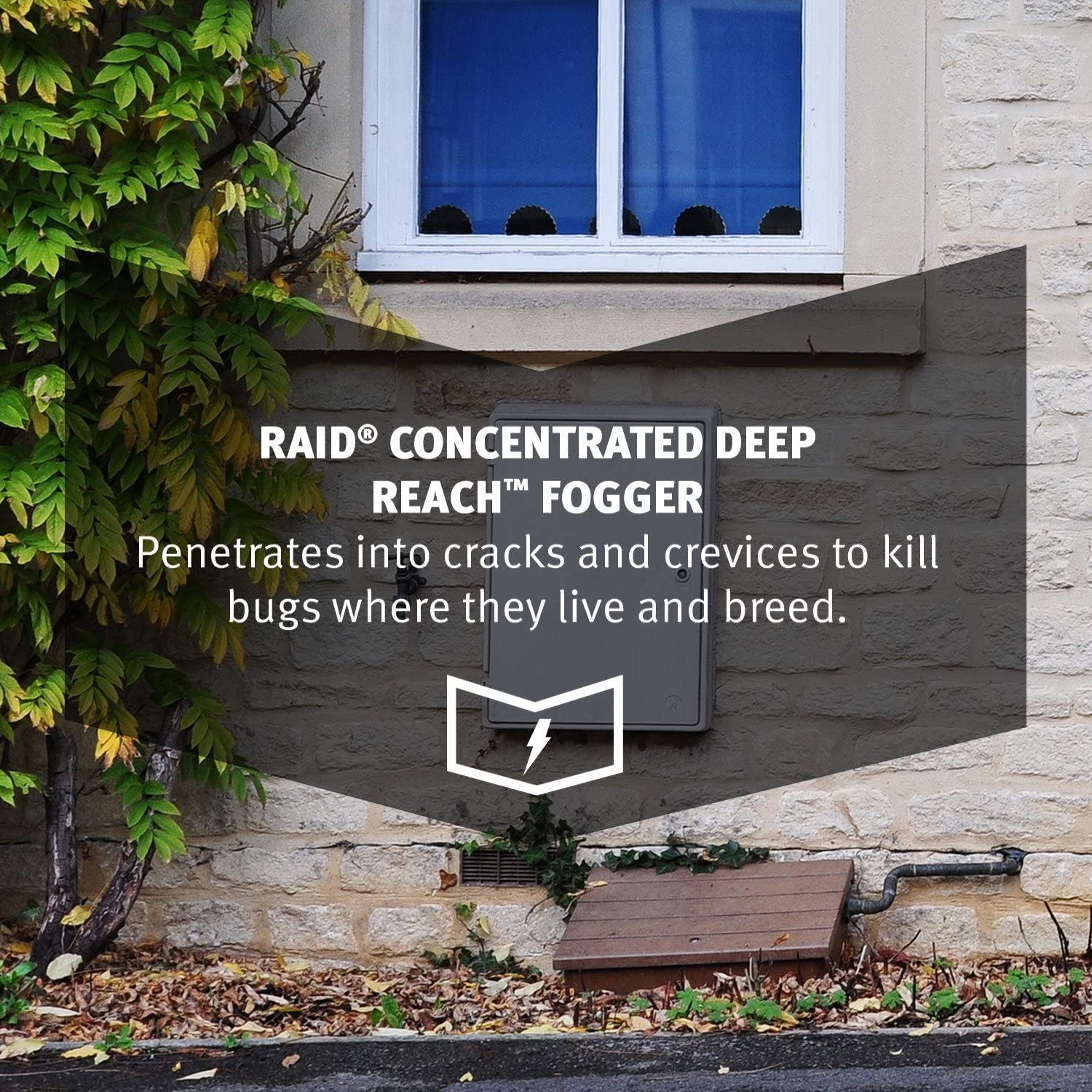 Raid Concentrated Deep Reach Fogger, 1.5 OZ (2)