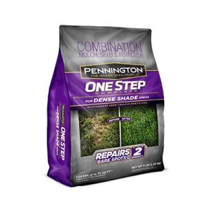 pennington one step complete dense shade 5 lb, white