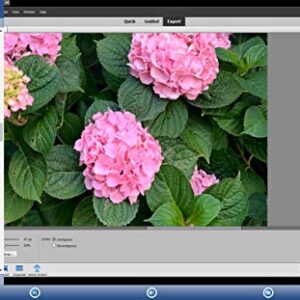 TEACHUCOMP DELUXE Video Training Tutorial Course for Photoshop Elements 2020- Video Lessons, PDF Instruction Manual, Quick Reference Guide, Testing, Certificate of Completion