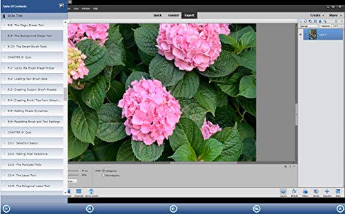 TEACHUCOMP DELUXE Video Training Tutorial Course for Photoshop Elements 2020- Video Lessons, PDF Instruction Manual, Quick Reference Guide, Testing, Certificate of Completion