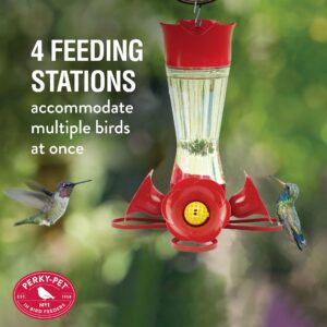 Perky-Pet 203CPBN-2 Pinch-Waist Glass Hummingbird Feeder with Perches, Built-in Ant Moat and Bee Guards - Outdoor Garden Décor - 2 Pack