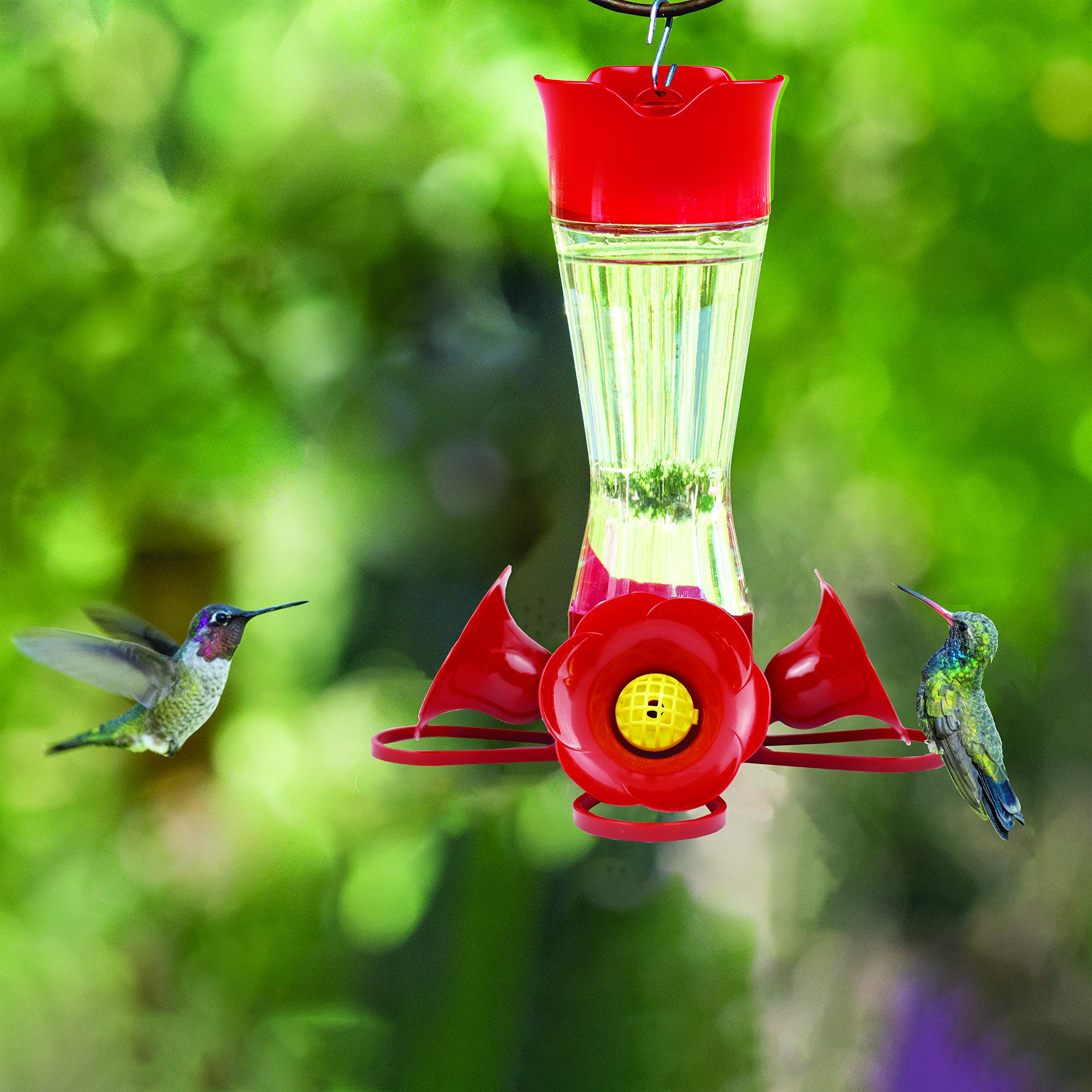 Perky-Pet 203CPBN-2 Pinch-Waist Glass Hummingbird Feeder with Perches, Built-in Ant Moat and Bee Guards - Outdoor Garden Décor - 2 Pack