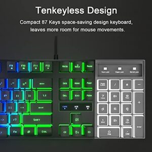 MFTEK RGB Rainbow Gaming Keyboard and Mouse Combo, Compact 87 Keys Backlit Computer Keyboard with Gaming Mouse, USB Wired Set for PC Gamer Laptop Work