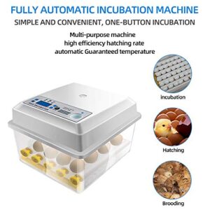 Safego 16 Eggs Incubator for Hatching Eggs, Digital Mini Incubator with Automatic Turner and Egg Candler Tester for Hatching Chicken Duck Quail Bird Eggs