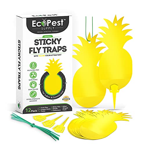 Sticky Fruit Fly and Gnat Traps – 12 Pack | Yellow Fly Paper Trap for House Plants and Gnat Sticky Traps for Fruit Flies, Fungus Gnats, and Other Flying Insects | Indoor and Outdoor Fly Tape