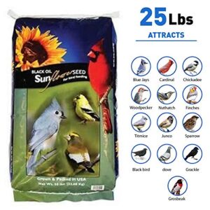 EasyGoProducts 25 Pound Black Oil Seed Bird Food, Brown (Blackseed-25)