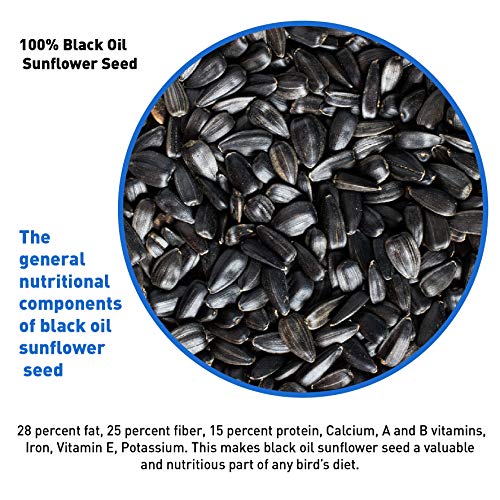 EasyGoProducts 25 Pound Black Oil Seed Bird Food, Brown (Blackseed-25)