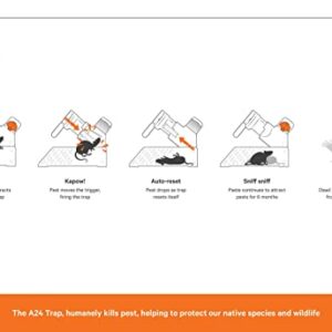 Goodnature Home Trapping Kit, A24 Humane Mouse Trap & Rat Trap with Portable Trap Stand, Automatic Paste Pump and CO2 Canister, Pet-Friendly Mouse & Rat Trap Without Digital Strike Counter