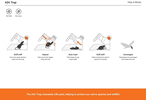 Goodnature Home Trapping Kit, A24 Humane Mouse Trap & Rat Trap with Portable Trap Stand, Automatic Paste Pump and CO2 Canister, Pet-Friendly Mouse & Rat Trap Without Digital Strike Counter