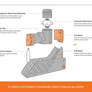 Goodnature Home Trapping Kit, A24 Humane Mouse Trap & Rat Trap with Portable Trap Stand, Automatic Paste Pump and CO2 Canister, Pet-Friendly Mouse & Rat Trap Without Digital Strike Counter