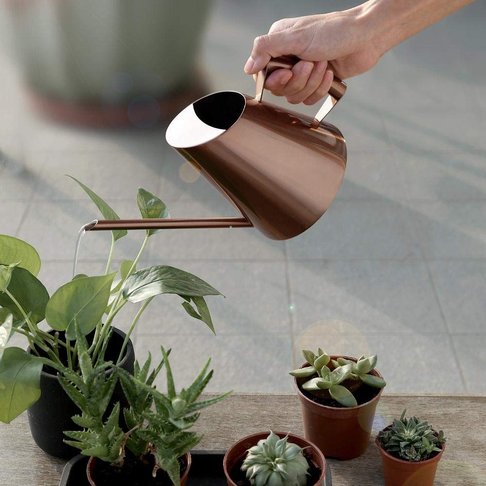 Fdit Watering Can Solid Stainless Steel Pot with Long Spout for Bonsai Indoors Plants Garden Green Plant Flower Watering Kettle Multiple Capacity Optional(1500ml)