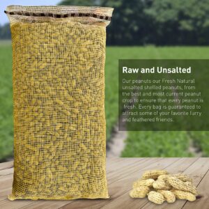 Sandy Land Squirrel Peanuts 25 Pounds Animal Peanut Bag - Ideal Also for Birds, Deer, Chipmunks, Raccoons and Outdoor Wildlife