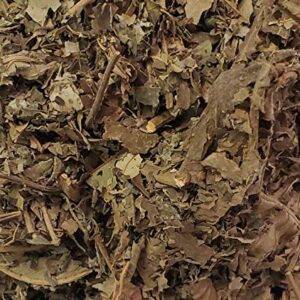 Guarumbo-Trumpet Tree Leaves/Cecropia obtusifolia 1/2 Pound aka Chancarro, Grayumbo, Guarumbo, Hormiguillo, Pop-a-Gun, Snakewood Tree, Tree of Laziness, Trompeto, Yagrumo