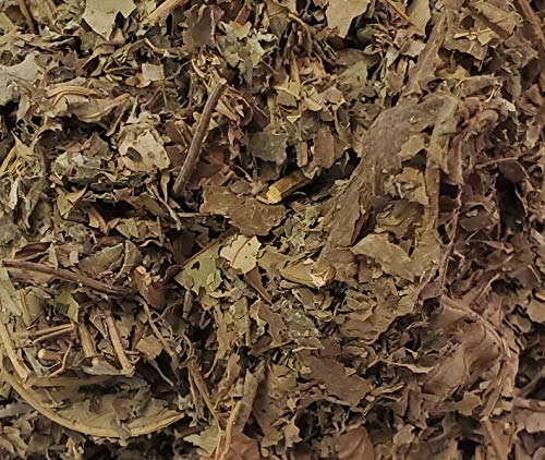 Guarumbo-Trumpet Tree Leaves/Cecropia obtusifolia 1/2 Pound aka Chancarro, Grayumbo, Guarumbo, Hormiguillo, Pop-a-Gun, Snakewood Tree, Tree of Laziness, Trompeto, Yagrumo