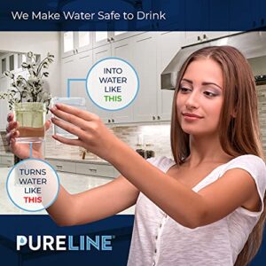 Pureline FQSLF Under Sink Water Filter Replacement. Compatible with GE FQSLF, FQROPF, GXSV65R, GXSLQR, PXRQ15RBL, PXRQ15F, PNRQ15F, PNRQ20F, PNRQ20R and PNRQ21R - Reduces Bad Taste & Odor (3 Pack)