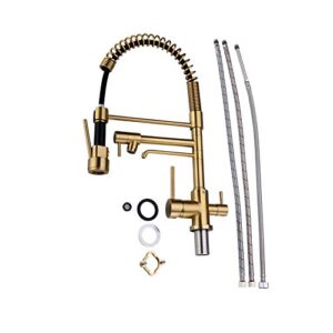 Delle Rosa Kitchen Faucet, 3 Way Drinking Water Faucet, 3 in 1 Water Purifier Faucets, High Arc and Dual Handles Commercial Kitchen Faucet Brushed Gold