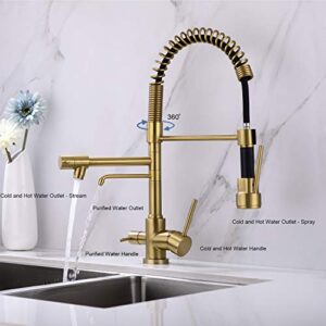 Delle Rosa Kitchen Faucet, 3 Way Drinking Water Faucet, 3 in 1 Water Purifier Faucets, High Arc and Dual Handles Commercial Kitchen Faucet Brushed Gold