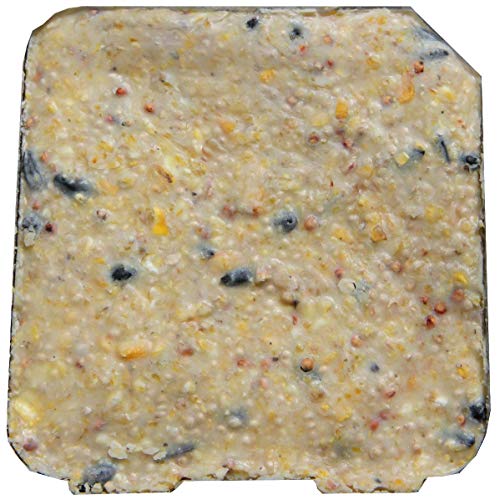 Heath Outdoor Products, Value Pack - DDB2-18 Berry Suet Cake - 11 oz. - Pack of 18, Natural